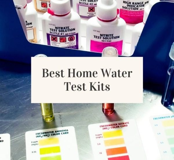 9 Best Pool Water Test Kits of 2022 - Jug Free