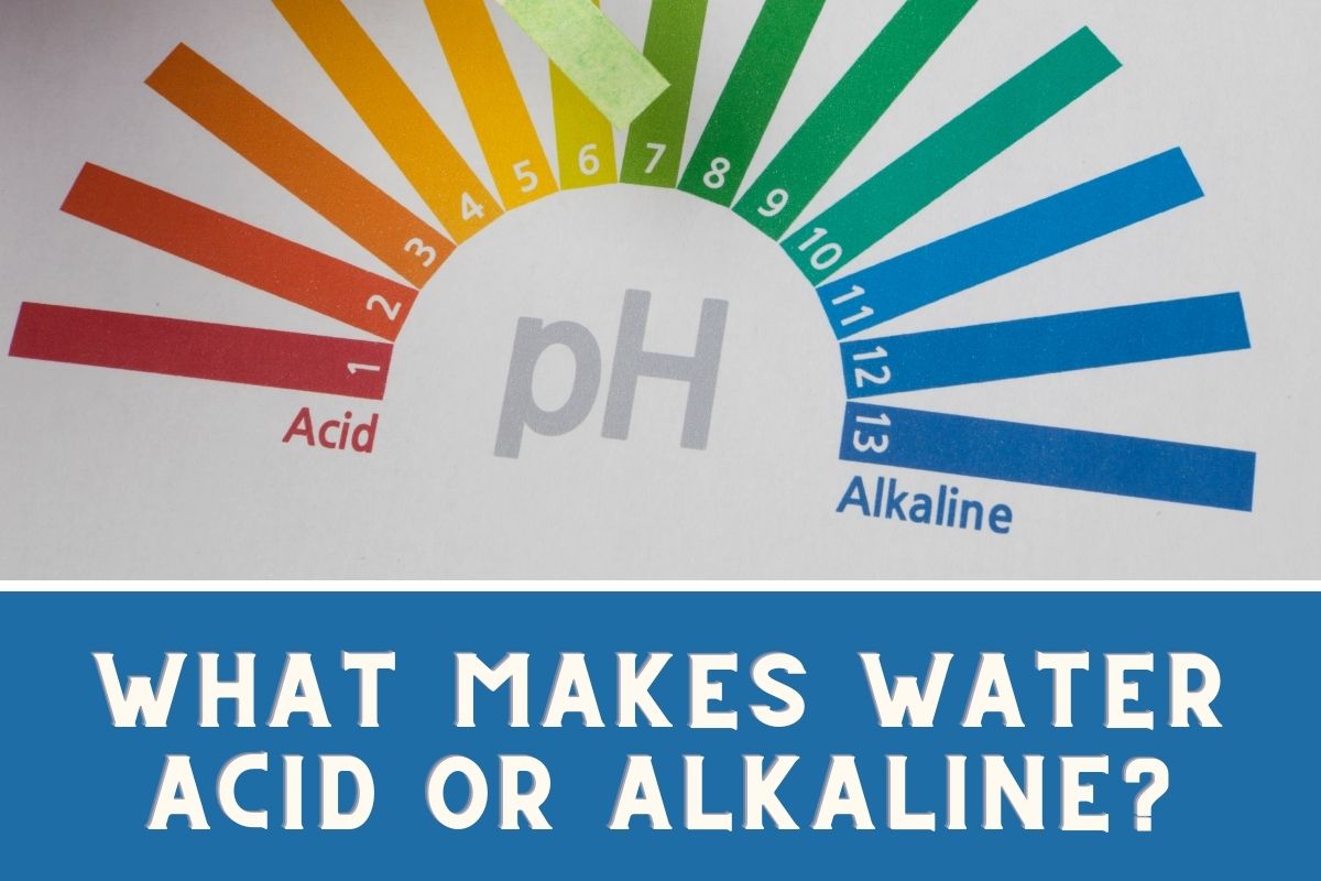 6 DIY Methods to Test pH of Water Without a Kit - Jug Free